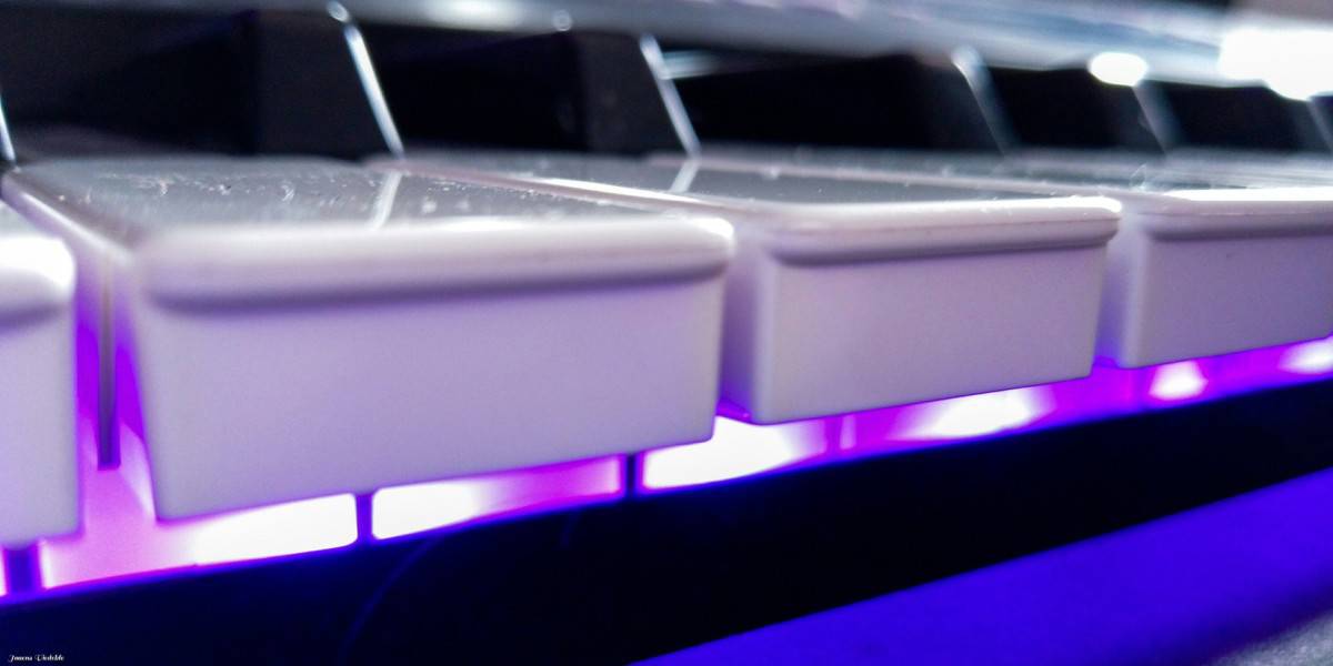 Yamaha Roland Or Casio? Who Make The Best Keyboards? - Stamp Sound