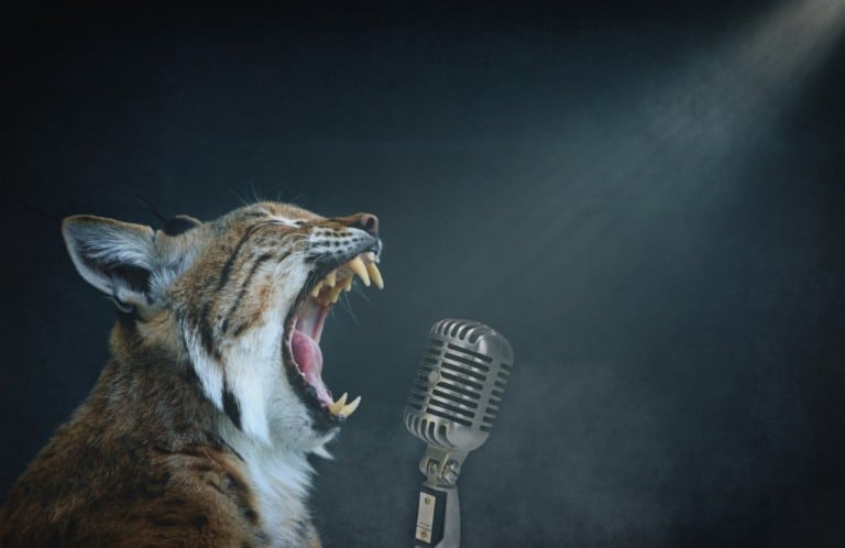 Does A Microphone Make Your Voice Sound Better? Here’s The Truth ... Does A Microphone Make Your Voice Sound Better? Here’s The Truth ...