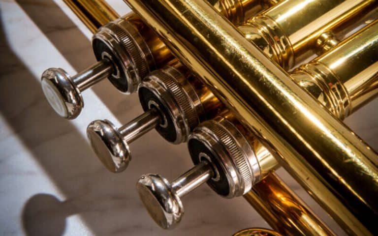Bach vs Yamaha Trumpets Which Are The Best? - Stamp Sound