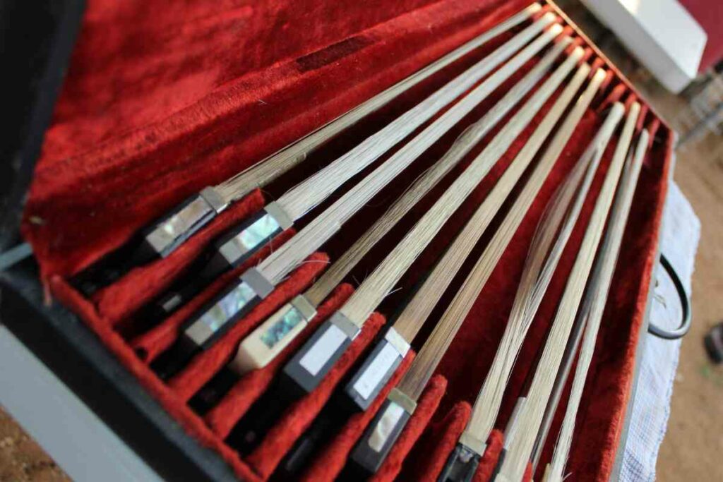 How to Play the Fiddle (Self-Taught Techniques & Drills) – stampsound.com